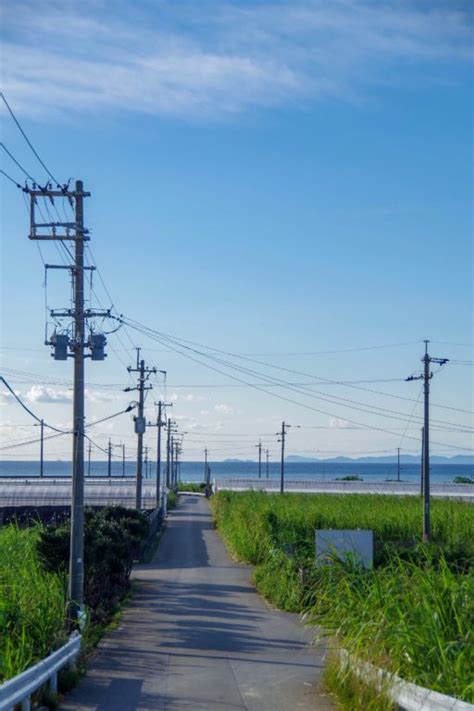 海へ続く道 OKINAWA41