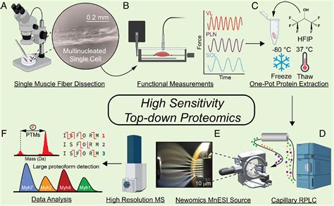 Single Cell Proteomics With Spatial Attributes Tools And 51 Off