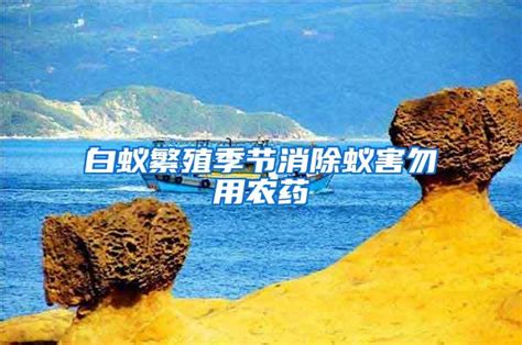 白蚁繁殖季节消除蚁害勿用农药 白蚁防治 除四害消杀灭虫网