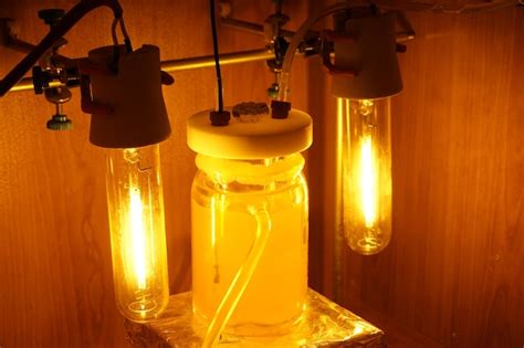 Premium Photo Experimental Photo Bioreactor Setup