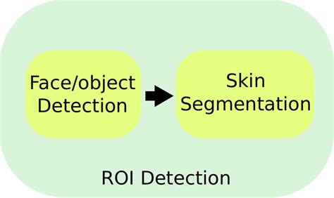 8 Roi Detection Step Download Scientific Diagram