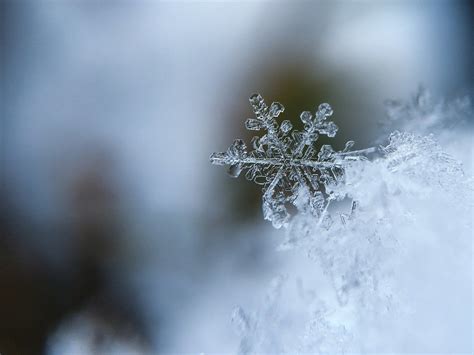 Tiny Snowflake Jigsaw Puzzle Im A Puzzle
