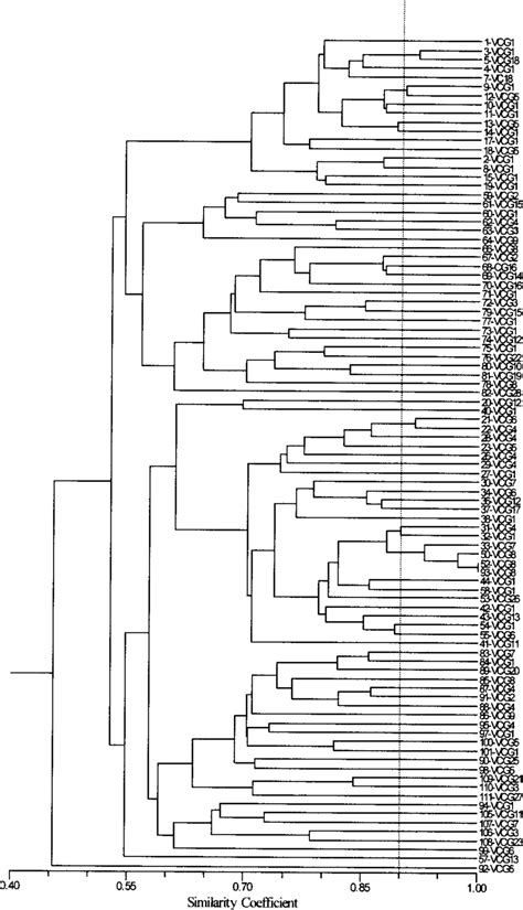 Unweighted Pairwise Group Method With Arithmetical Mean Cluster