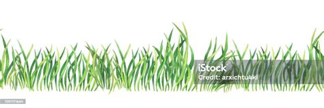 신선한 녹색 잔디완벽 한 패턴입니다 수채화 손으로 그린 그림을 흰색 배경에 고립 된 그림 디자인 자연 풍경에 대 한 여름 잔디 요소입니다 수채화에 대한 스톡 벡터 아트 및