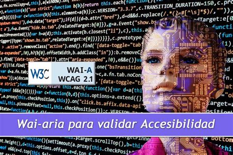 Qu Tienes Que Saber De La Wai Aria Para Validar Accesibilidad El