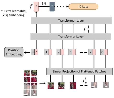 a patch information supplement transformer for person re identification