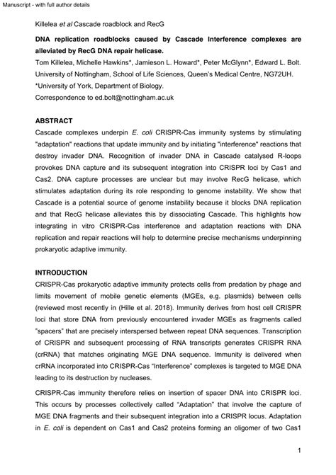 Pdf Dna Replication Roadblocks Caused By Cascade Interference