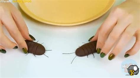 ویدیوی چالش غذا خوردن چالش سرگرمی چالش شکلات فیلو