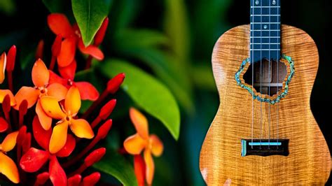 Hanalei Strings Handcrafted And Affordable Ukuleles