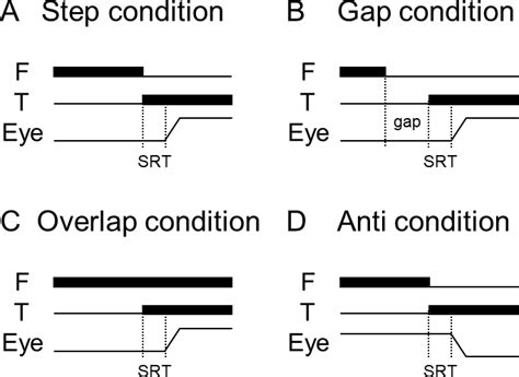 Saccade Conditions F Xation Point T Target Eye Eye Position Srt