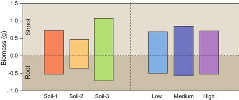 Aboveground And Belowground Biomass Partitioning At The End Of The