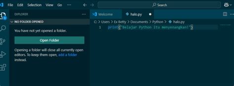 Belajar Python Dasar Untuk Pemula Pengenalan Dan Persiapan