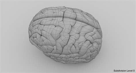 인간의 뇌 3d 모델 99 Max Obj Fbx 3ds Free3d