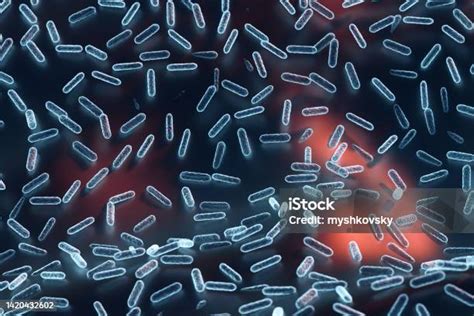 장내 세균 그람 음성 막대 모양의 박테리아 장내 미생물의 일부 및 다른 감염의 원인 물질 3d 렌더링 대장균 Klebsiella Enterobacter 및 기타 살모넬라균에