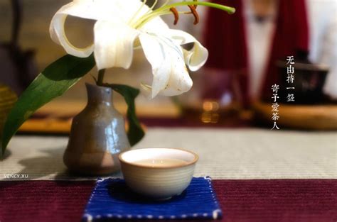茶 语 美女普洱茶冲泡茶艺表演 27 35 中国风