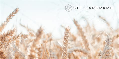 Graph Machine Learning In Genomic Prediction By Thanh Nguyen Mueller Stellargraph Medium