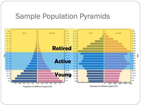 Ppt Population Pyramids Powerpoint Presentation Free Download Id