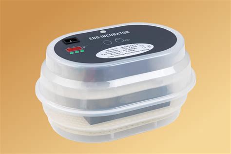 Best Egg Incubator Products For Raising Chicken Eggs