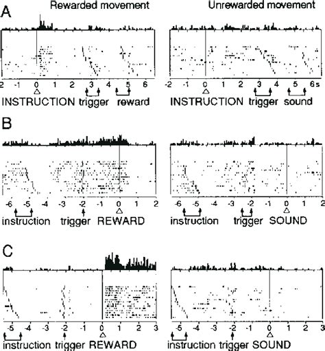 Figure 2 From Reward Processing In Primate Orbitofrontal Cortex And Basal Ganglia Semantic