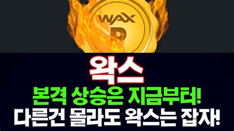 왁스코인 본격 상승은 지금부터 다른건 몰라도 왁스는 잡자 Youtube