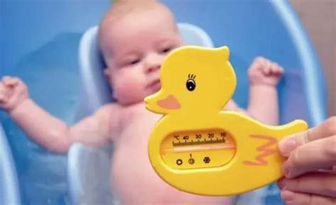 Infrared Thermometer In Water And Other Liquid Chefstemp