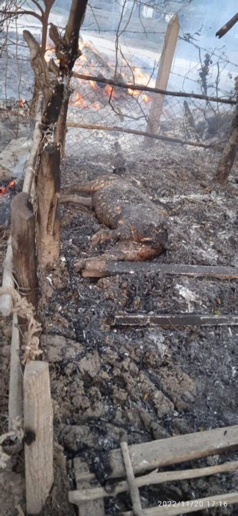 ခင်ဦးမြို့နယ်၊ စောကြီးရွာ၊ သေနပ်စိန်ရွာ၊ မဒေါင်းကြီးရွာ၊ ရွှေကာ ရွာတို့ကို စစ်တပ်က မီးတင်ရှို့