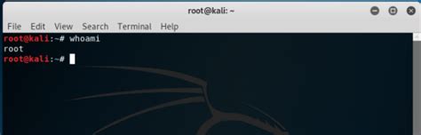 Top Kali Linux Commands Let S Tech It Easy