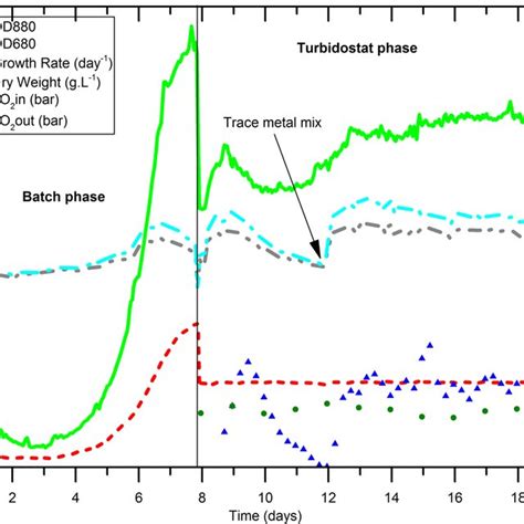 Third Experiment With 45 L Upscale Tubular Photobioreactor Ka2 Download Scientific Diagram