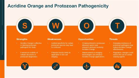 Top 10 Ppt Orange Powerpoint Presentation Templates In 2025