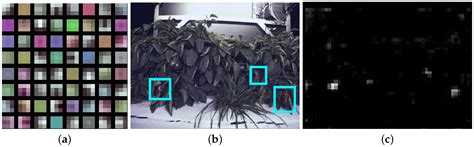 Deepfruits A Fruit Detection System Using Deep Neural Networks