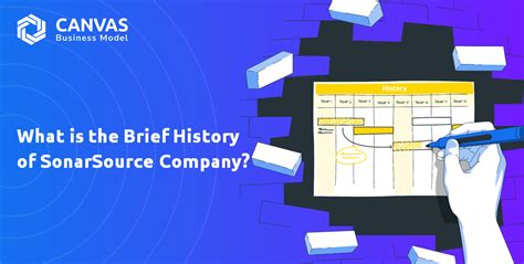 What Is Brief History Of Sonarsource Company