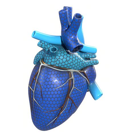 인간의 마음 개념 3d 모델 19 Unknown Stl Obj Fbx C4d 3ds Free3d