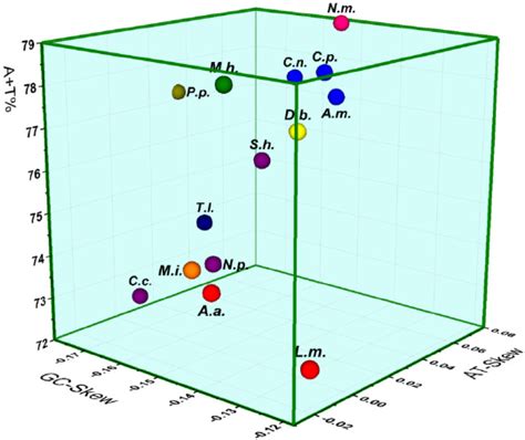 Phylogenetic Relationships Among Neuroptera Families Based On Mt Download Scientific Diagram