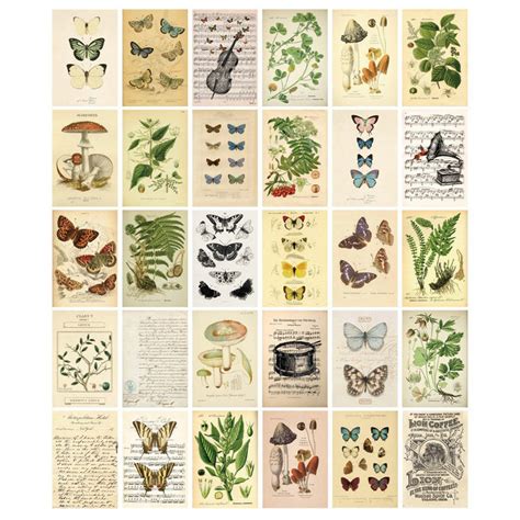 Cottagecore Butterflies Wall Collage Postcards Shop Online On Roomtery