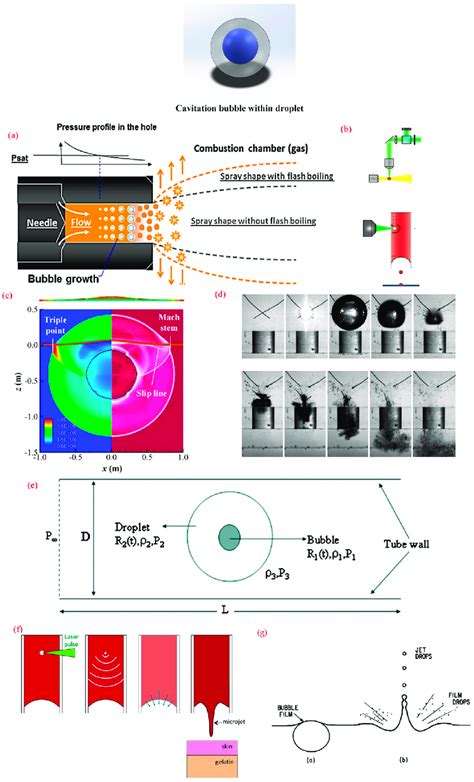 Introduction Figure Of The Fields Involved In Cavitation Bubbles Within Download Scientific