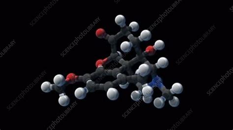 Oxycodone Molecular Model Stock Video Clip K006 0220 Science