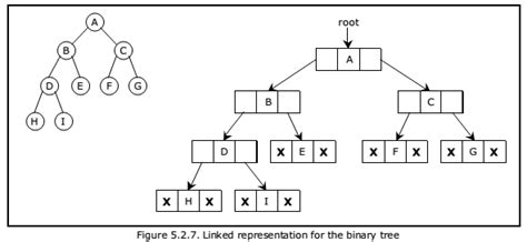 Binary Trees Examradar