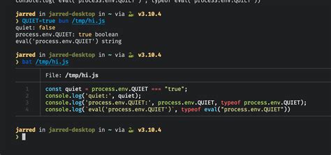 Prevent Environment Variables From Being Coerced Out Of A String · Issue 1185 · Oven Shbun