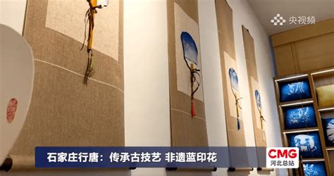 央媒聚焦：传承古技艺 非遗蓝印花 范秀丽 张璇 高月坤