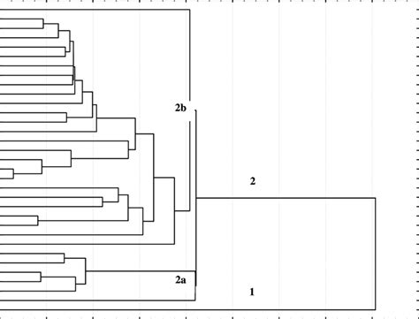 Dendrogram Based On The Single Linkage Method Of Clustering Between 33 Download Scientific