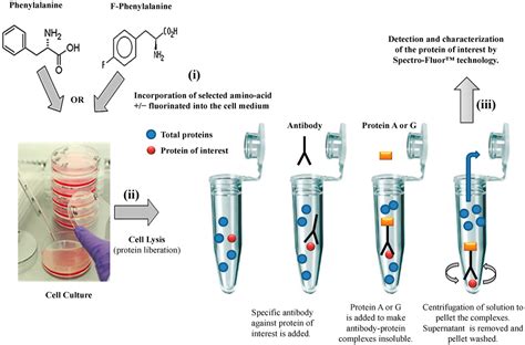 Diagnostics Special Issue In Vitro Diagnostics