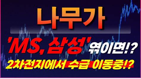 나무가 주가전망 Ms삼성 엮이면 2차전지에서 수급 이동중 Youtube