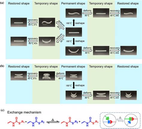 Shape Manipulation Properties Of VCP And Exchange Mechanism Of