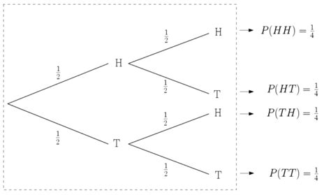 Tree Diagrams StudyWell