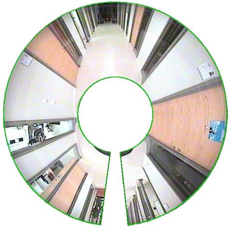 8 Virtual Occlusion Valid Regions For Extracting Features Left No