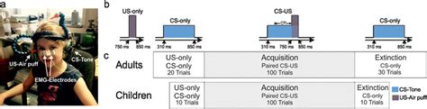 Experimental Set Up A And Delay Eyeblink Conditioning Paradigm Bc