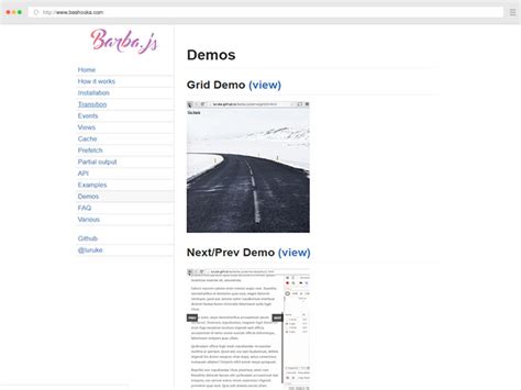 10 Javascript And Css Page Transition Libraries Bashooka