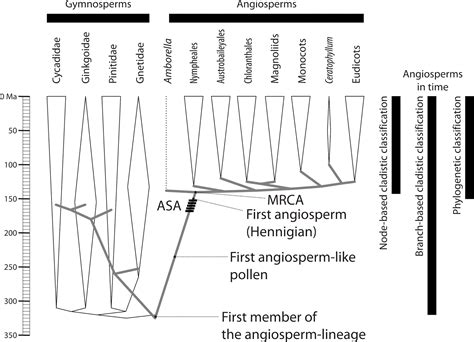 Resip An Unprofessional Science And Other Things Blog What Is