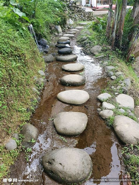 溪边石径 自然清新景致摄影图 自然风景 自然景观 摄影图库 昵图网