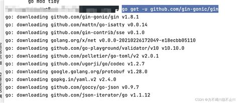解决GO安装gin框架 go get u github com gin gonic gin 超时问题 阿里云开发者社区